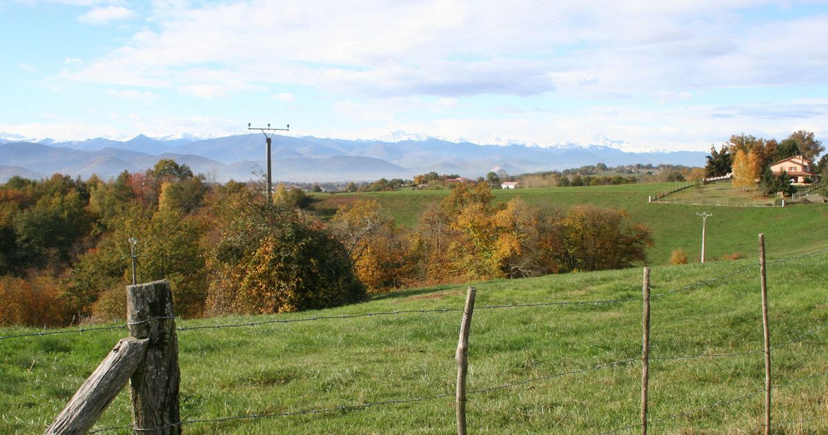 Historique et Chiffres clés - Cœur Coteaux Comminges