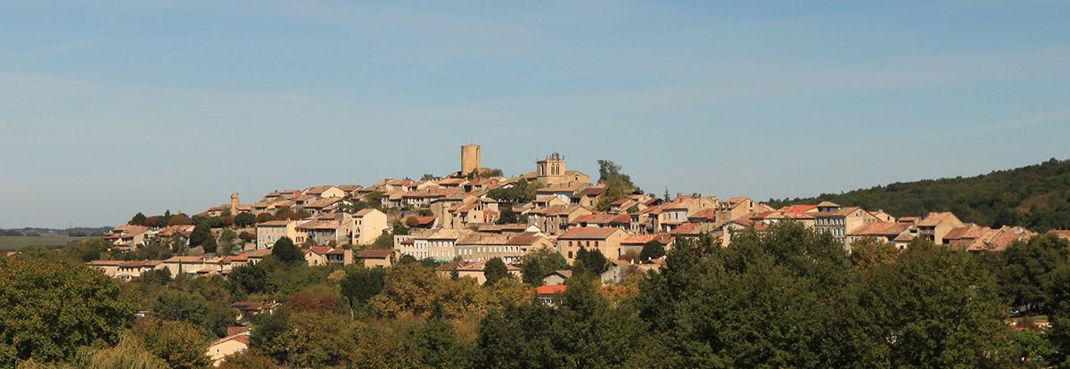 Le plan local d'urbanisme Intercommunal des Terres d'Aurignac - Cœur ...
